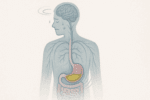 Why You Might Feel Nauseous from Not Eating: Understanding Hunger ...