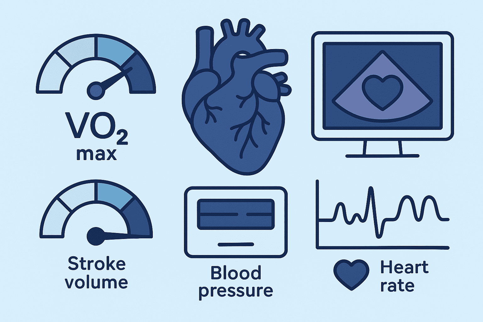 How Strong Is the Heart? What Science Reveals About a Healthy Real ...